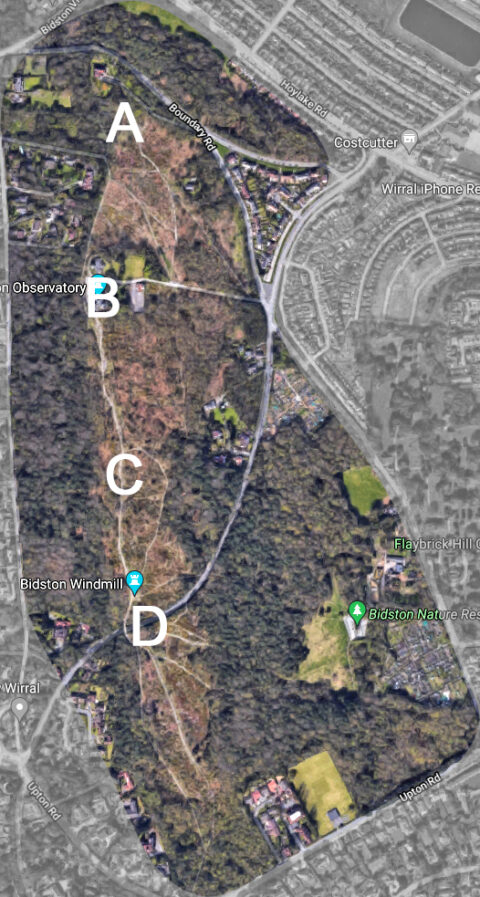 Bidston Hill, Wirral - Survey - ML Aerial Photography